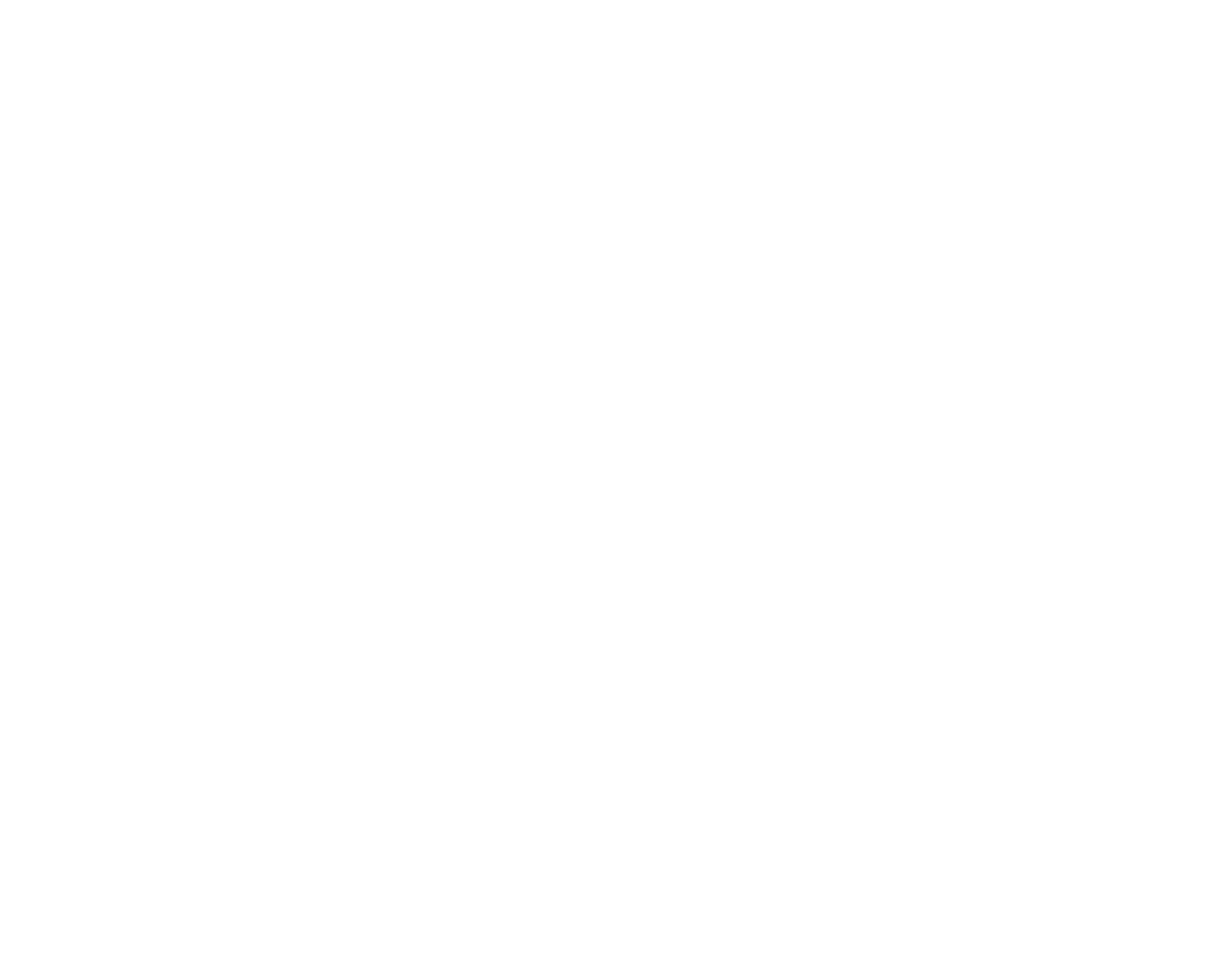 Grayscale Transparent – The Artistic Expressions of VL Parker